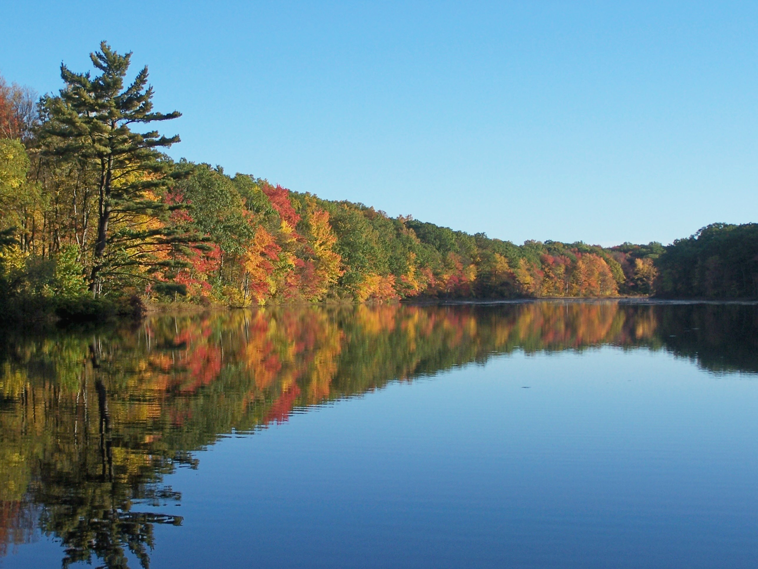 Community Photo Album | Columbia, CT